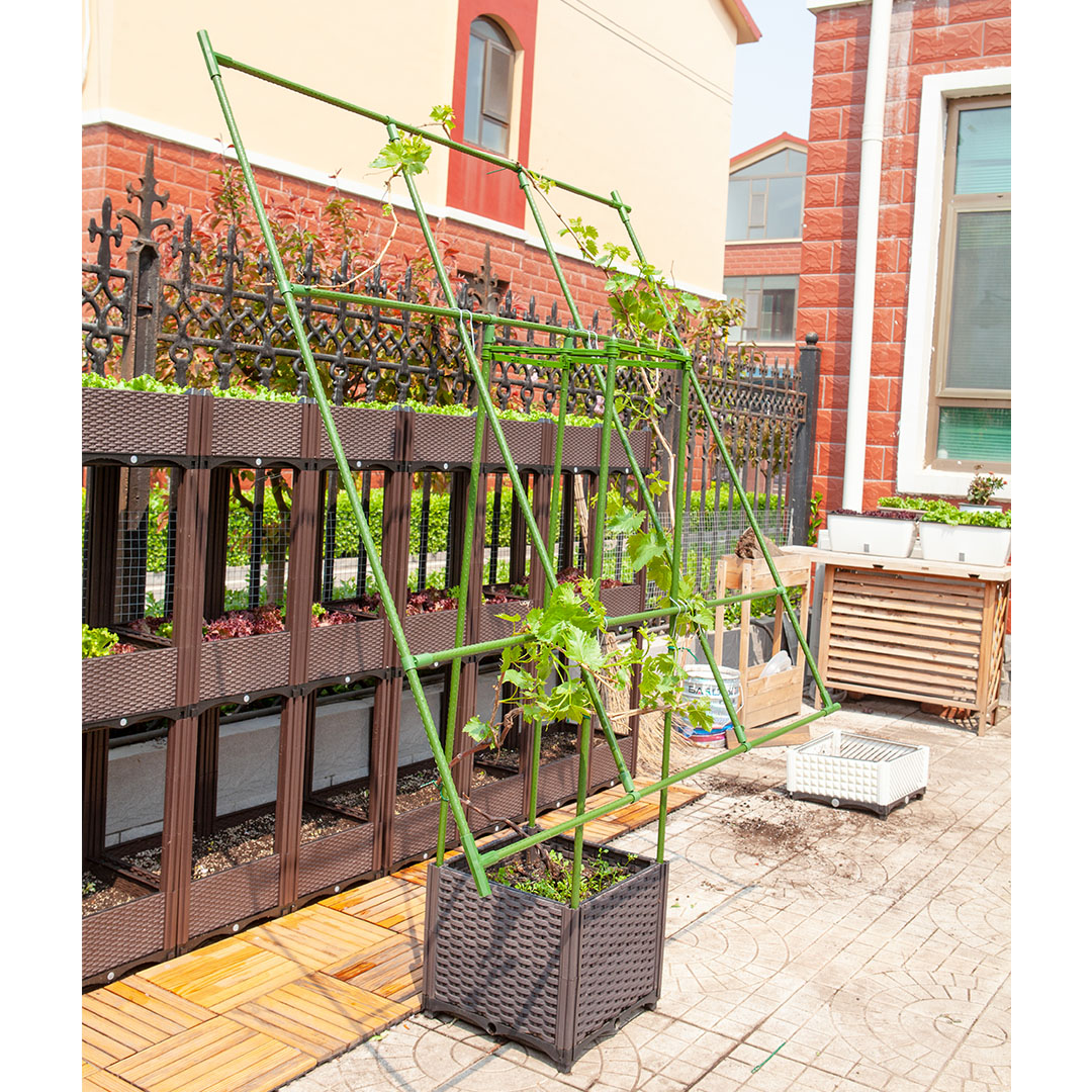 Shop Grape Vine Rack - Wine Storage | OzGalore