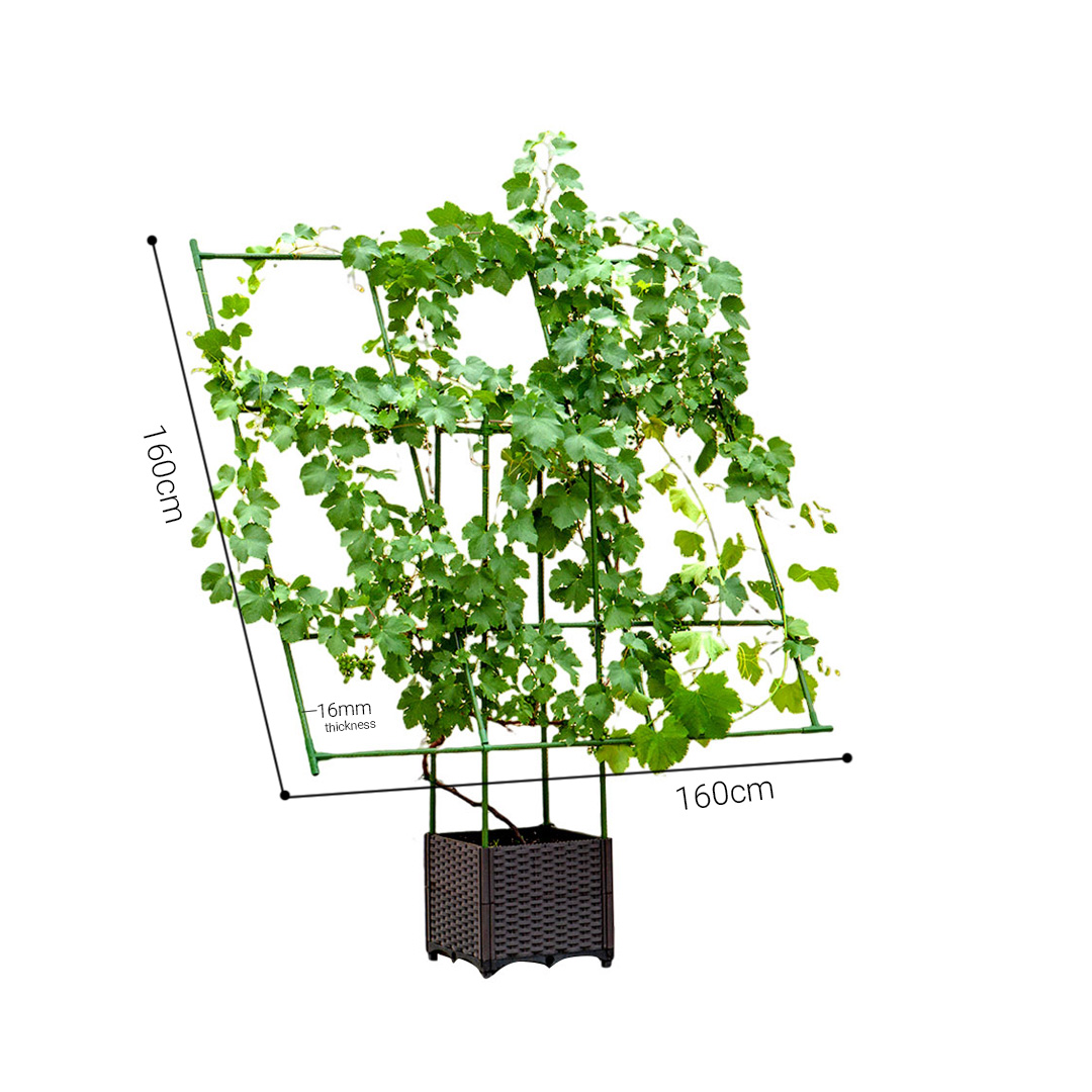 Shop Grape Vine Rack - Wine Storage | OzGalore